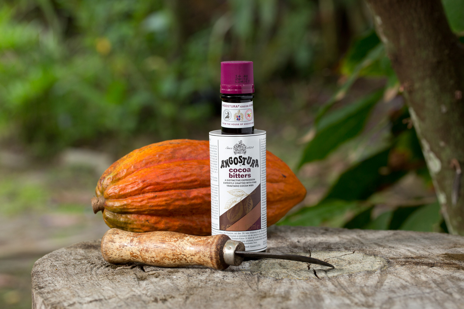 ANGOSTURA® cocoa bitters unveils ‘SUSTAINABLE FUTURE’ PROGRAMME to ...